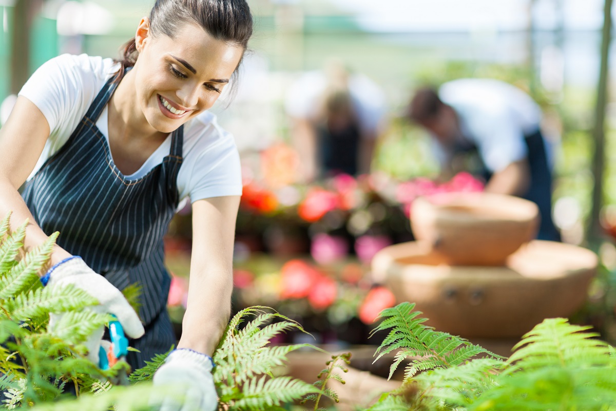 Creating a Sustainable, Low-maintenance Garden - USA Projects