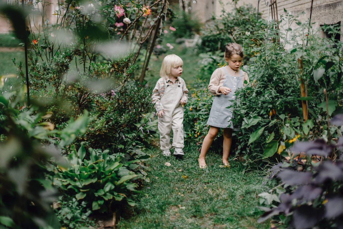 5 Key Considerations When Building a Community Garden - USA Projects